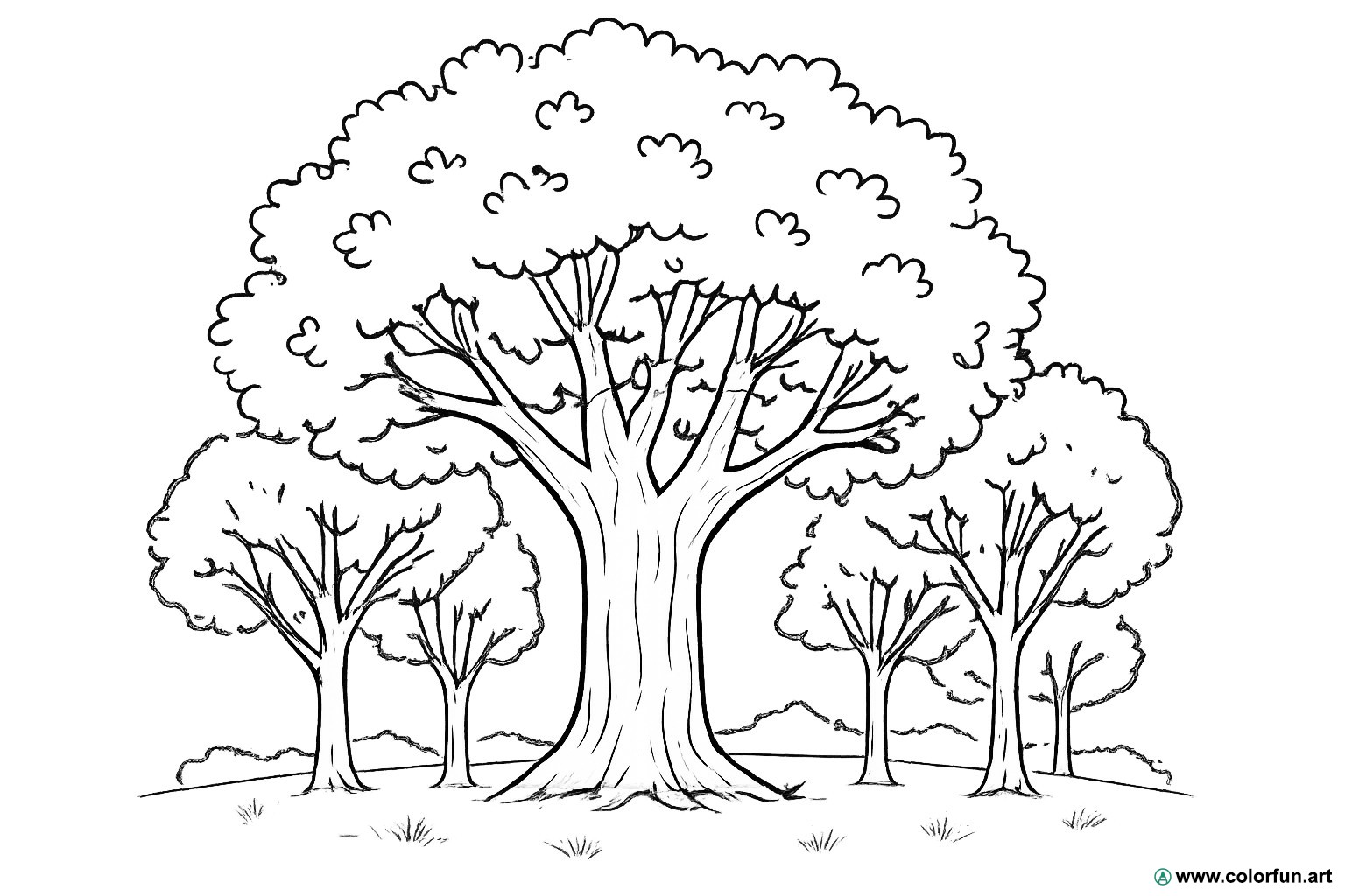 Coloriage d'arbres dans la forêt à Télécharger ou à Imprimer gratuitement