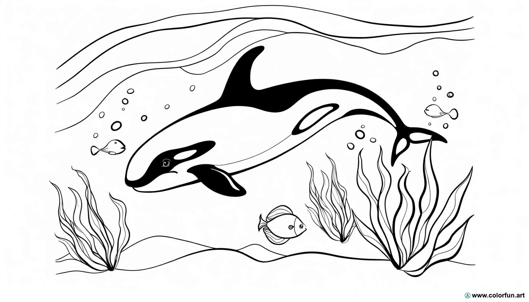 Coloriage d'orque en mer à Télécharger ou à Imprimer gratuitement