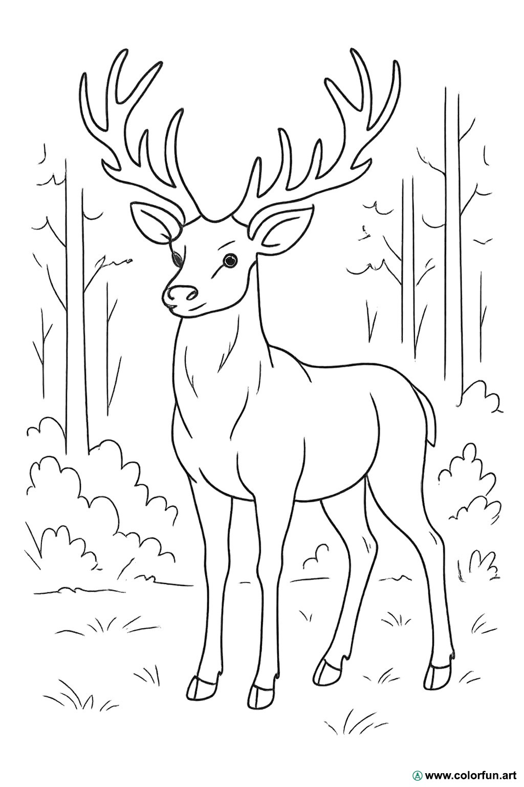 Coloriage d'un cerf, animal majestueux à Télécharger ou à Imprimer ...